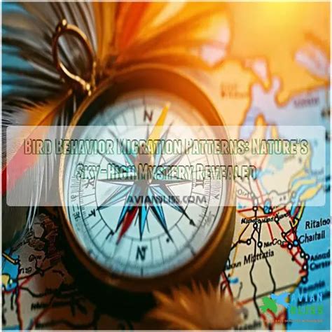 How Birds Navigate Migration 5 Shocking Secrets Of Natures Gps System