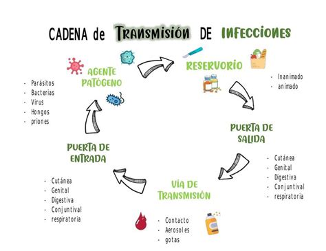 Infografía de la cadena de transmisión de infecciones uDocz