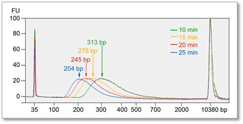 Dna Fragmentation Enzyme Mix 30 45 Minutes Protocol Biodynami