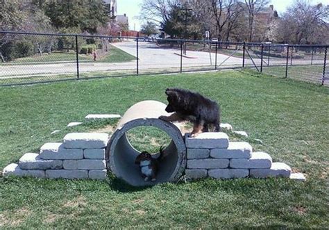 22 Easy Diy Dog Playground Ideas For Small Backyard Obsigen