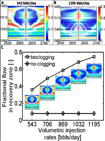 Hydrodynamic Alteration And The E Ff Ectiveness Of The Bioclogging