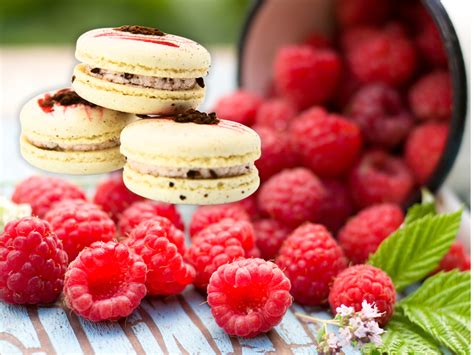 Vegan Raspberry Macaron Springhurst Bakery