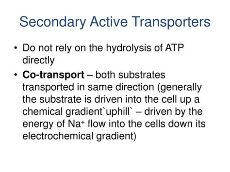 Ppt Primary Active Transport Powerpoint Presentation Free Download
