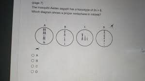 Bio 1201 Chapter 13 Flashcards Quizlet