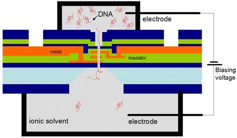 Ibm Hypes Dna Transistor Genomes For Less Than 1000