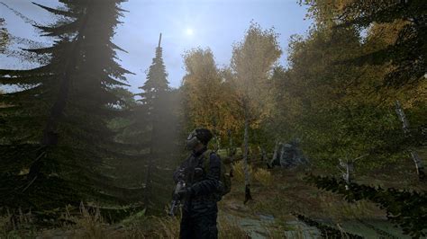 DayZ Standalone Выживание и гайды Тактика