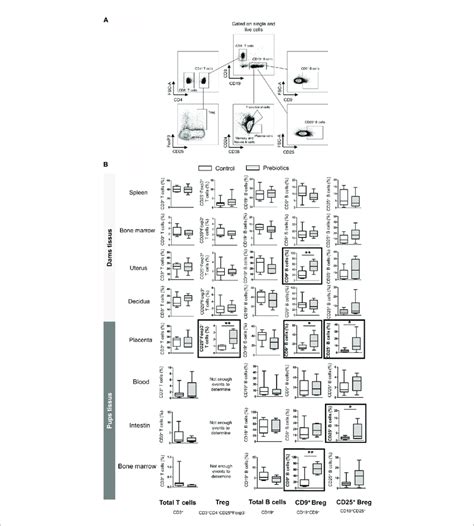 Effects Of Gosinulin Supplementation During Pregnancy On B And T
