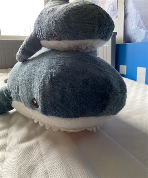 My big and smol shonk’ : r/BLAHAJ