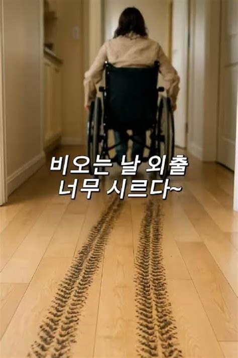 휠체어를 타는 이들에게 비오는 날 외출은 Youtube