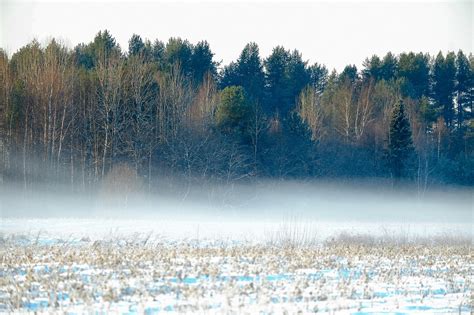 20 000 Free Fog Overlay And Overlay Images Pixabay