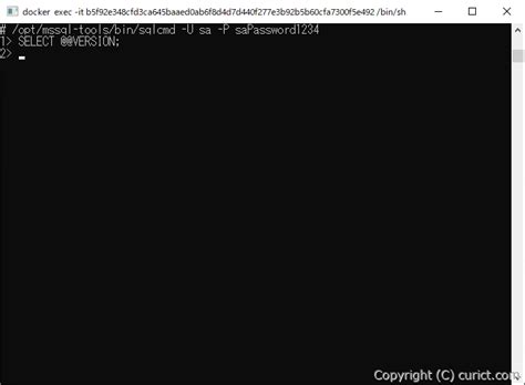 Sql Server Sqlcmd でバージョンとエディションを確認する方法