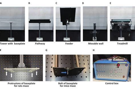 Utilizing A Reconfigurable Maze System To Enhance The Reproducibility Of Spatial Navigation