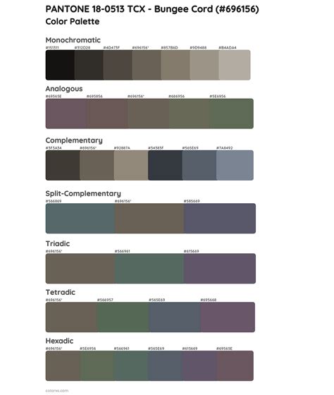 PANTONE 18 0513 TCX Bungee Cord Color Palettes And Color Scheme