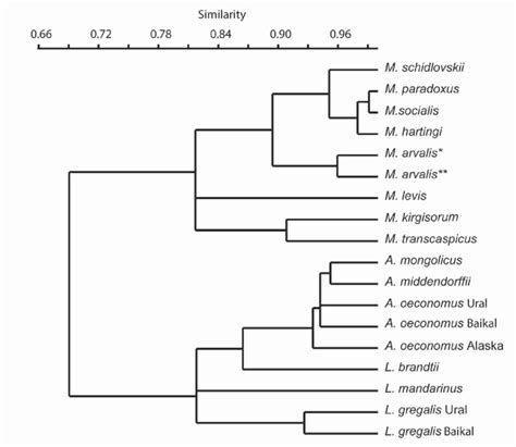 Hierarchical Cluster Analysis Dendrogram Illustrating The Phylogenetic