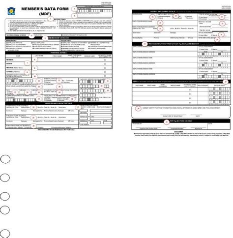 Pag Ibig Form Fill Out Printable PDF Forms Online