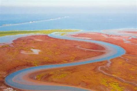 黄河三角洲湿地湿地生态系统搜狗百科