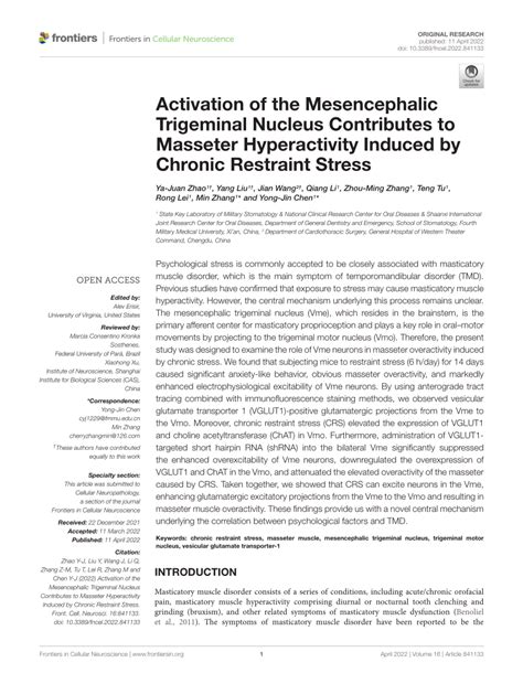 Pdf Activation Of The Mesencephalic Trigeminal Nucleus Contributes To