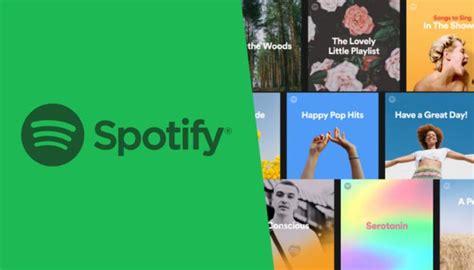 Spotify Duo What Is It And How To Use It