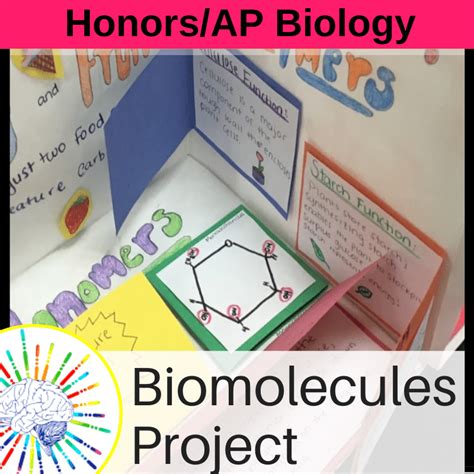 Biomolecules Project For Ap Biology Or Honors Biology