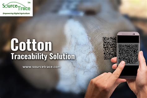 Cotton Traceability Challenges The Importance Of Digitization