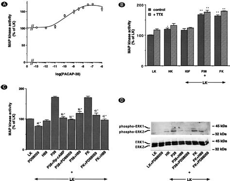 A Cerebellar Granule Neurons Express Predominantly Pacap 1 R With