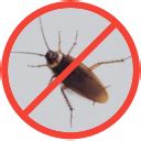 Why Do Stink Bugs Smell Bad EcoGuard Pest Management