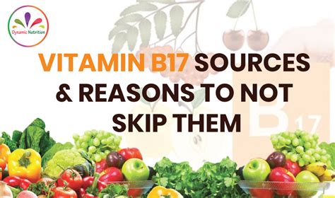 Vitamin B17 Sources and Reasons To Not Skip Them | Dynamic Nutrition