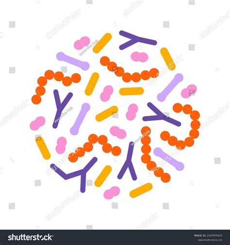 Probiotic Bacteria Set Circle Gut Microbiota Stock Vector Royalty Free Shutterstock