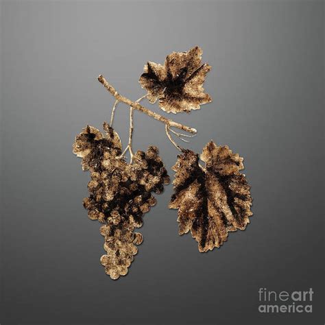 Lacrima Art for Sale | Fine Art America