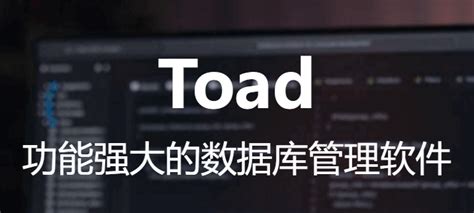Toad怎么导出insert语句 Toad导入sql文件 Toad中文网站