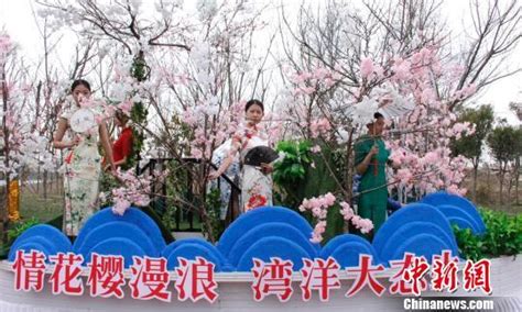 江苏盐城大洋湾樱花节开幕 旗袍美女花车巡游 每日头条