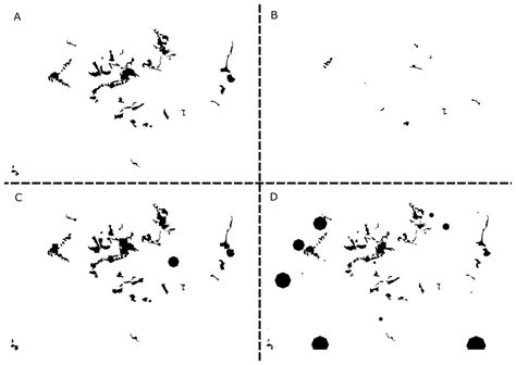 Advances In Global Sensitivity Analyses Of Demographic Based Species Distribution Models To