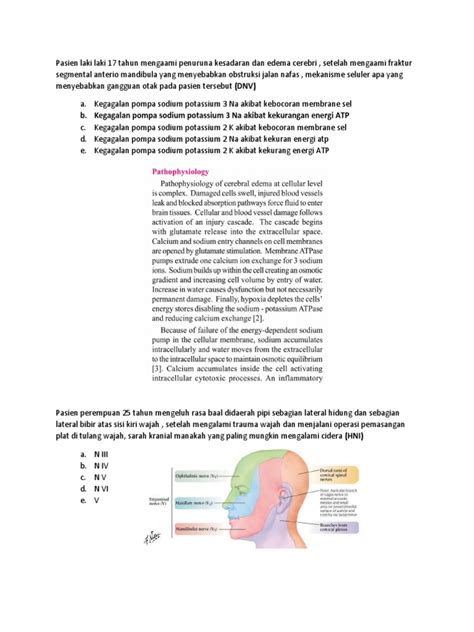 Soal Bedah Saraf Pdf