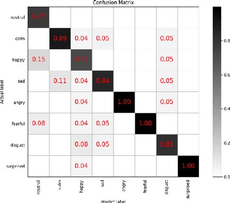 Improvement And Implementation Of A Speech Emotion Recognition Model Based On Dual Layer Lstm