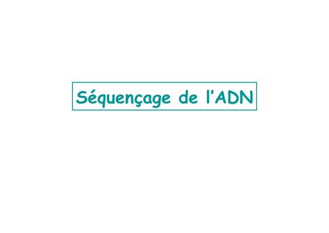Pdf Séquençage De Ladn Ecole Partouche · Exemple Denregistrement