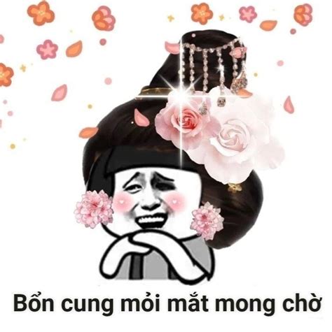Pin by Vân Lê on meme in Funny memes Memes Funny jokes