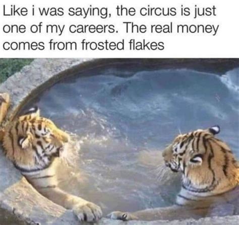 Frosted Flakes Meme Subido Por Damusicgamer Memedroid