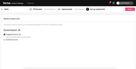 TikTok Creative Challenge New Tool For Branded Creativity 2024