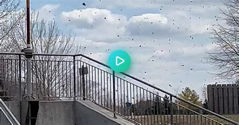 Leaf Tornado Hits Hard Album On Imgur