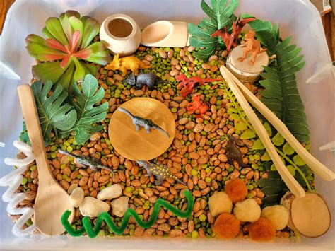 Dinosaur Sensory Bin Etsy
