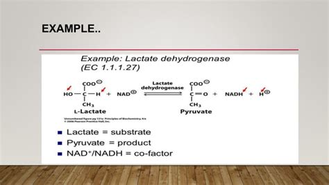 Nomenclature And Classification Of Enzyme Pptx Chemistry Science