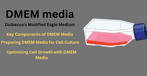 Dmem Media Essential Tips For Optimal Cell Growth And Maintenance