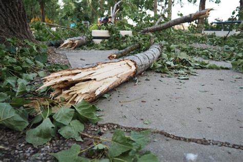 Premium Photo Aftermath Of The Hurricane July 19 2023 Beach Sremska