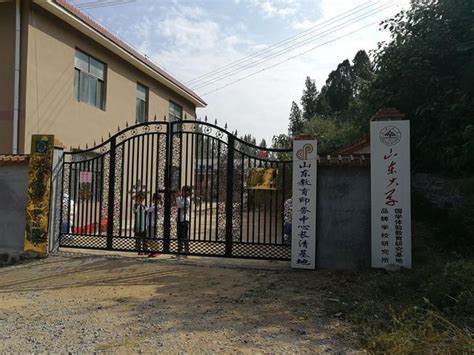 在長清山中巧遇到十多個撿柴禾的孩子原來他們是國學班學生 每日頭條
