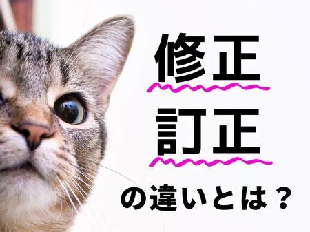 修正と訂正の違いわかりますかその使い分け間違ってるかも ライブドアニュース