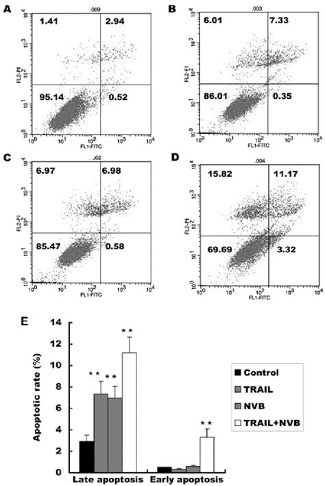 A549 Cell Apoptosis After Treatment With Trail And Nvb Alone Or In