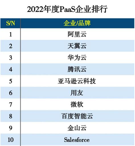 2022年国内及全球paas企业top10 知乎