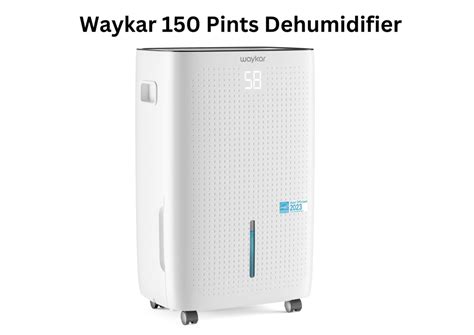 Best Dehumidifier For House With Pump Top 4