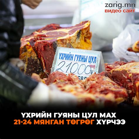 Zarig Mn Хүчит шонхор буюу Дэнжийн 1000 ын зах дээр