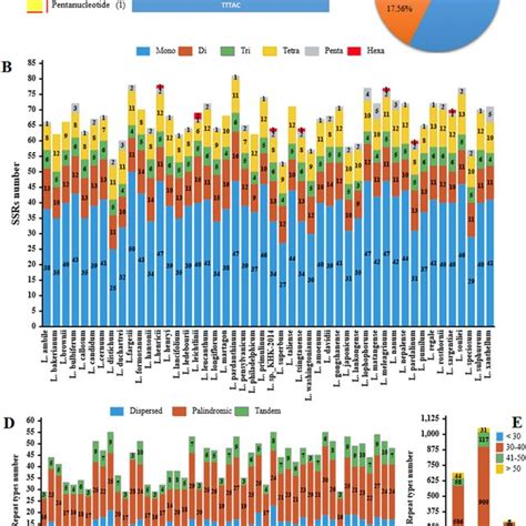 The Type And Distribution Of Simple Sequence Repeats Ssrs And Complex Download Scientific